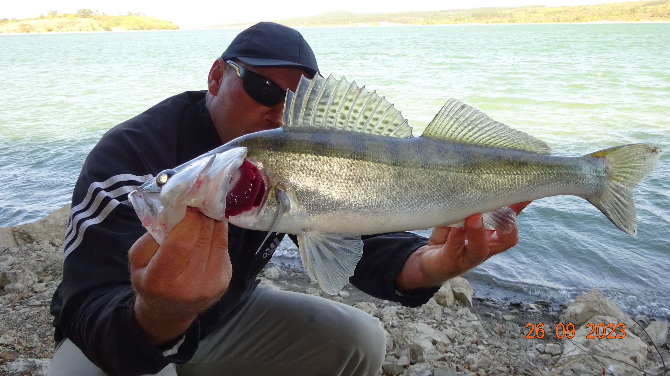 Жирные судаки осенью на донки.2023г.