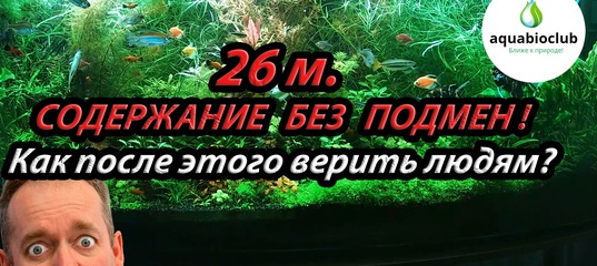 Обзор аквариума 26 м. без подмен на 260 л. Вот верь после такого людям!