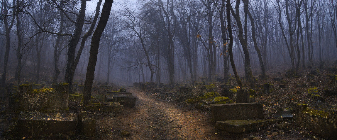 " ВСТРЕЧА НА КЛАДБИЩЕ В ЛЕСУ " Реальная история
