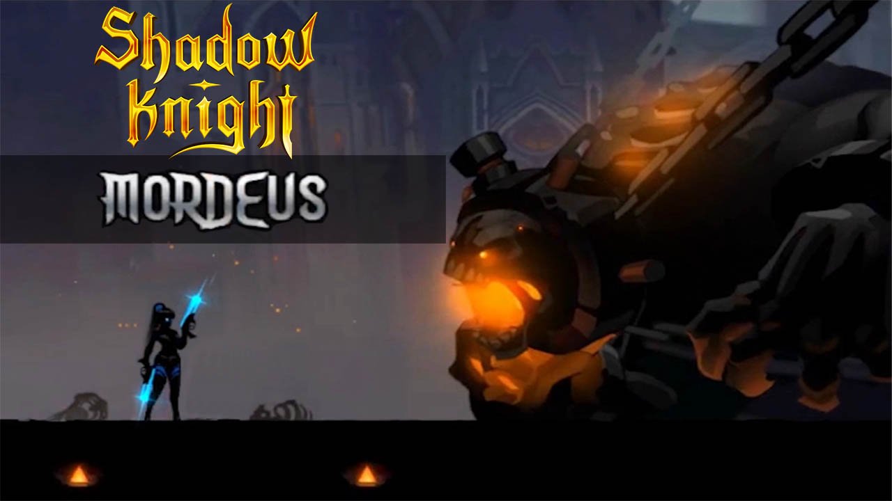 Shadow Knight Premium Ninja Assassin RPG Fighting