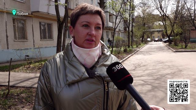 ОЗЕЛЕНЕНИЕ посадка кустов Лобня