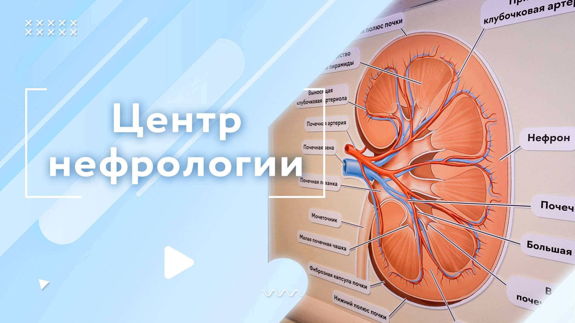 Нефрологическая служба ГКБ им. С. С. Юдина