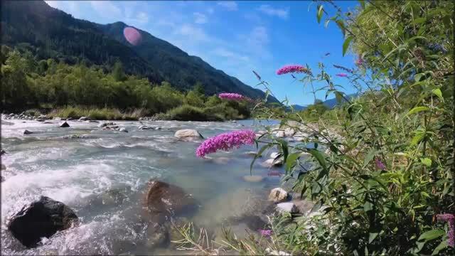 Расслабляющая музыка со звуками природы и прекрасной классической музыкой