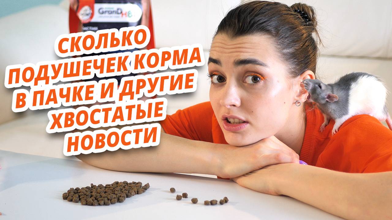 Четвертый выпуск новостей про домашних животных