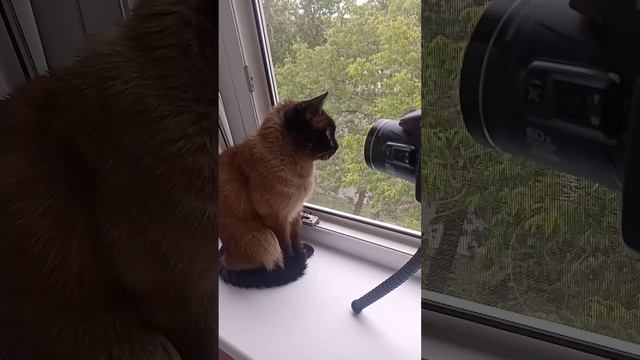 Cat Musik posing on camera