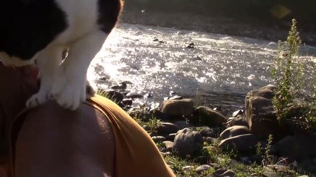 2017_06_26_ПЛАСТУНКА_СОЧИ.mp4