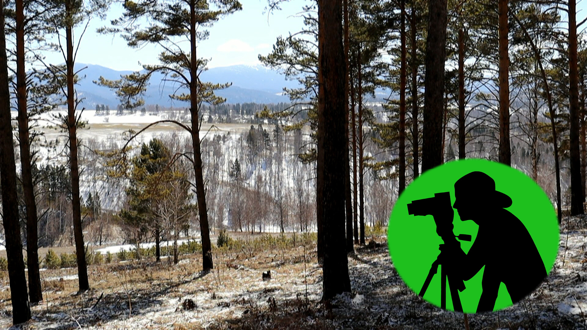 Пение лесных птиц в одном красивом уголке Сибири / Расслабляющие звуки природы для отдыха и сна