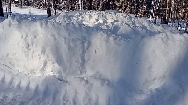 Сугробы по пояс. В лес проехать не можем. Верёвка нам поможет!