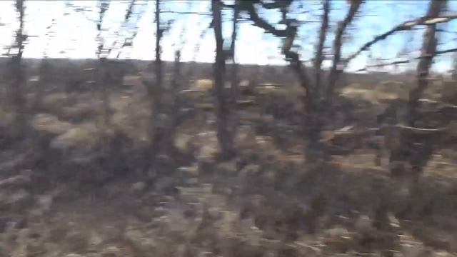 (18+)коллективная охота на зайца(бакс продакшн и гоп компания).mp4