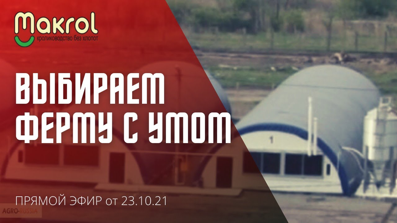 ?Технологии в кролиководстве. КАК ЗАЧЕМ и ПОЧЕМУ. Консультация в ПРЯМОМ эфире Макляк Макрол