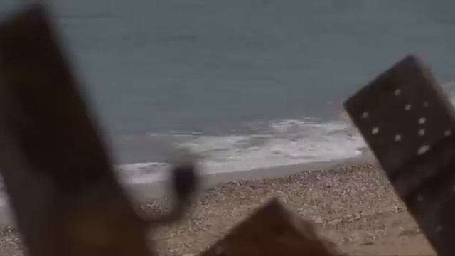 Военнослужащие инженерно-саперного взвода Минобороны России разминируют Арабатскую стрелку.