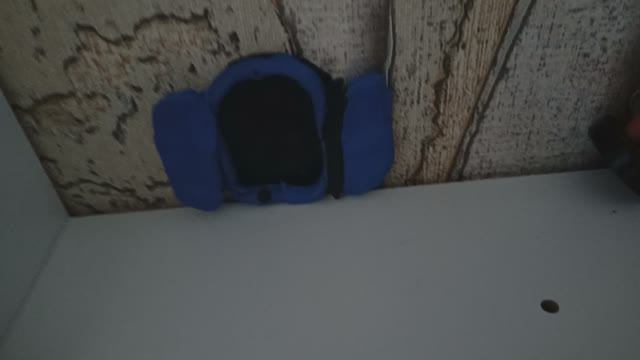 тайная комната (второй фильм)