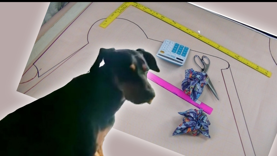 Дополнение к выкройки для собак крупных пород. Девочкам.