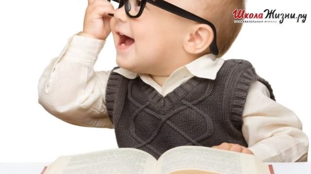 Братья Гримм. Как академические ученые превратились во всемирно известных сказочников?