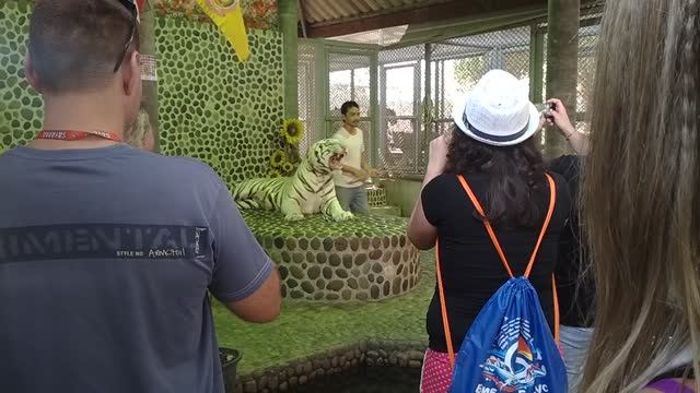 Опасная зверушка в парке Нонг Нуч в Паттайе