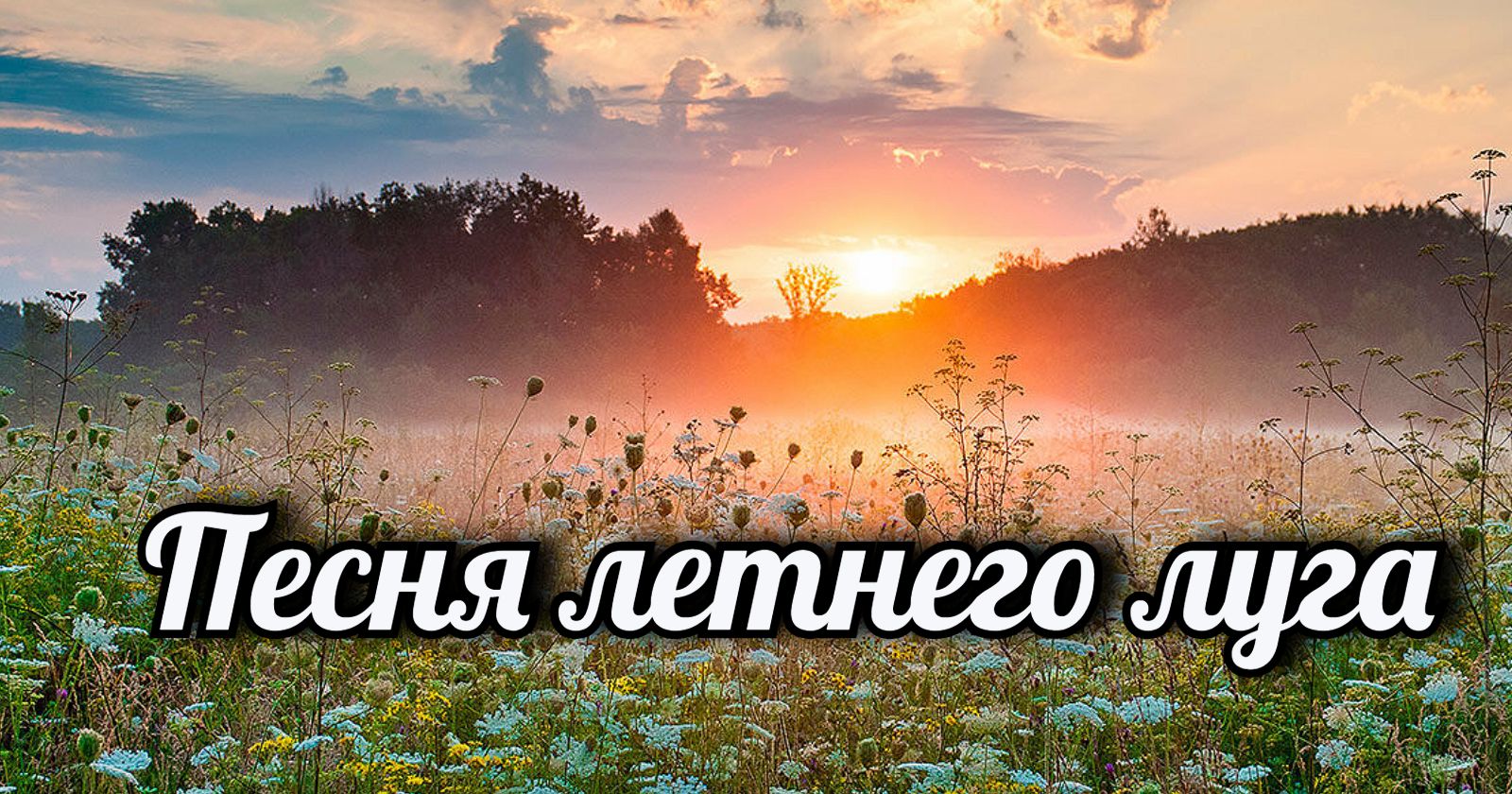 Песня летнего луга.mp4