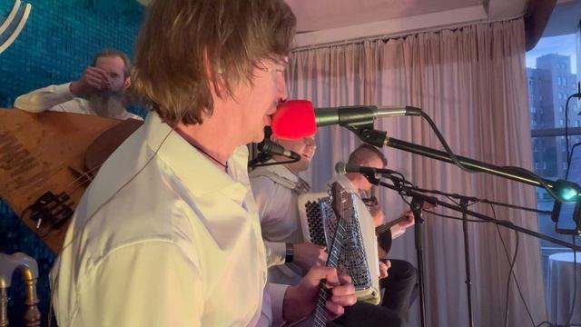 Мохнатый шмель