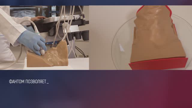 Фантомы для специалистов УЗД