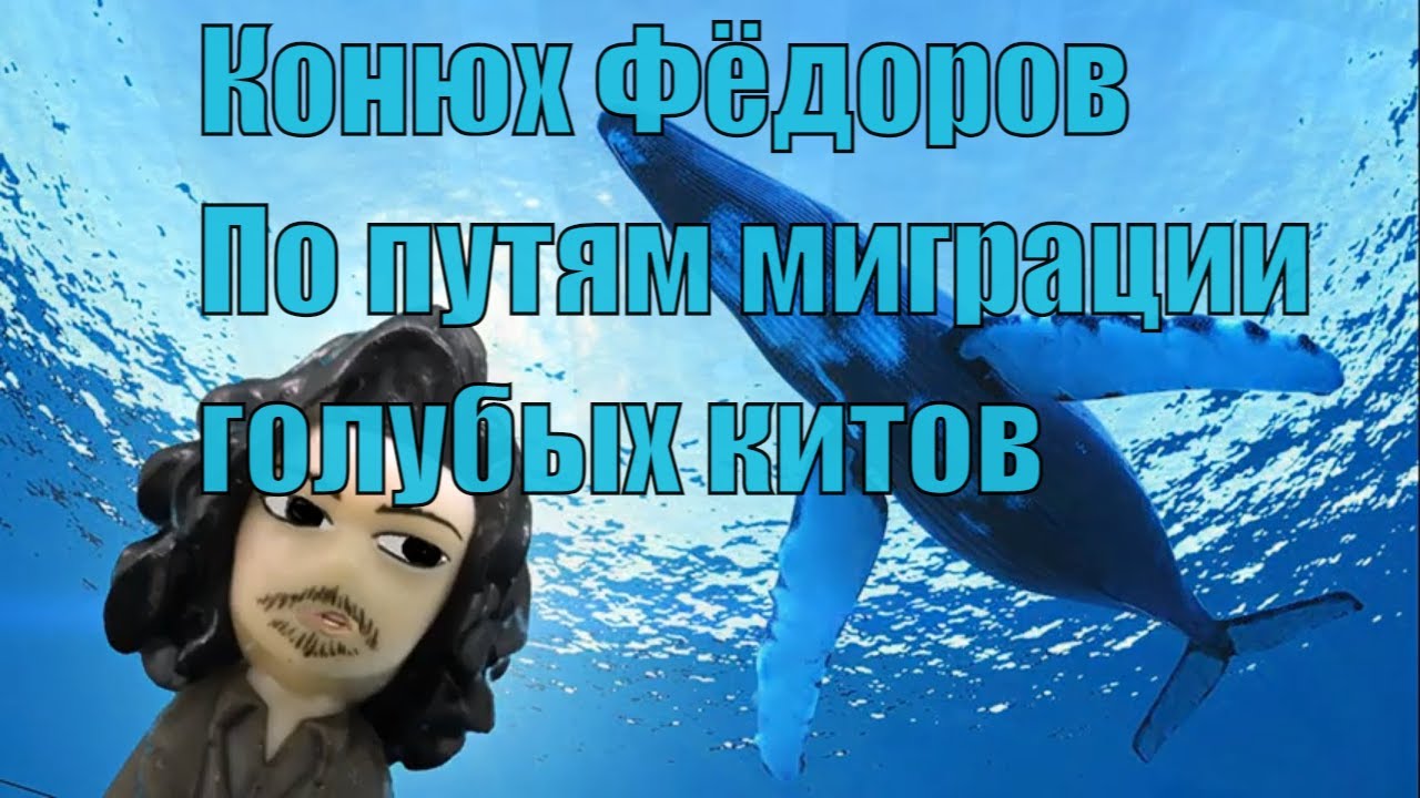Конюх Фёдоров по путям миграции голубых китов.