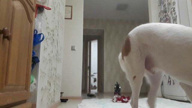 Кликер-игра Сидеть