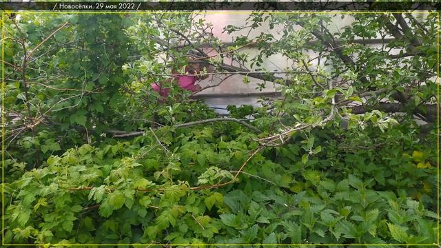 Novoselki_29_05_2022_UHD_30p.mp4