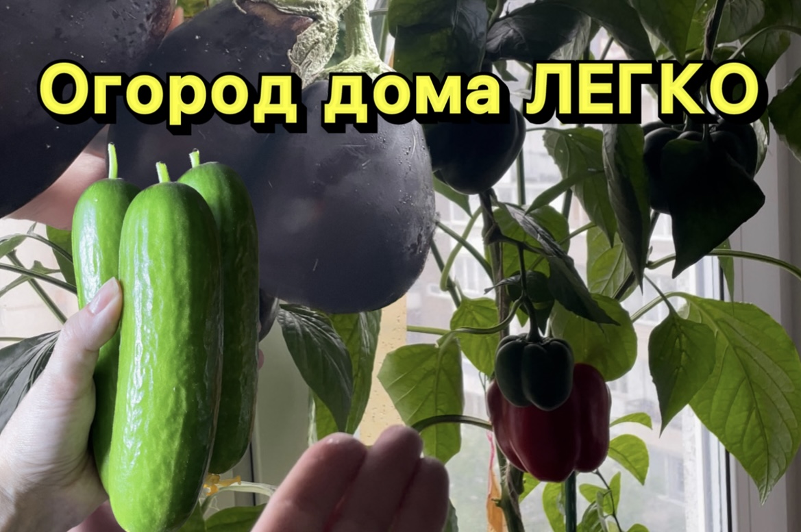 Огород дома? ЛЕГКО ???