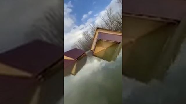 Спасение животных во время  наводнения  в  Орске