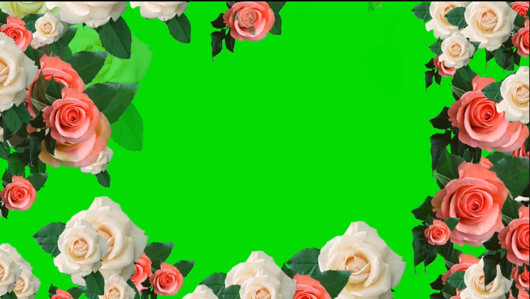 ?РОЗЫ ПО КРАЯМ 2 ШТ.  Футаж. Хромакей. Зелёный экран. Chroma Key. Green Screen..mp4