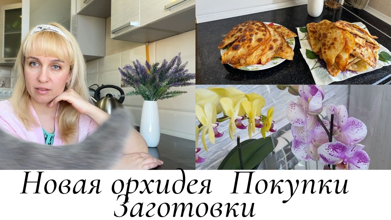 Новая орхидея Покупки Заготовки