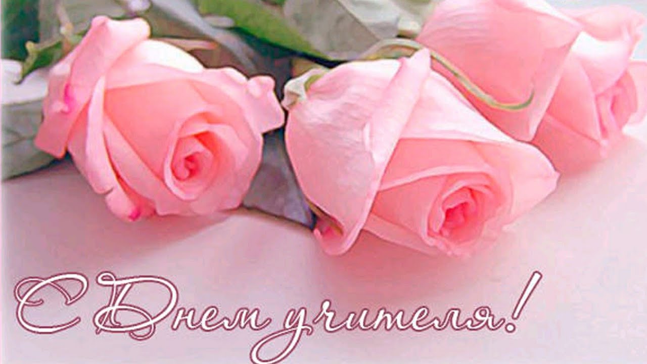 С Днем учителя 5 октября 2022! Самое красивое поздравление для любимого учителя! Teacher`s Day