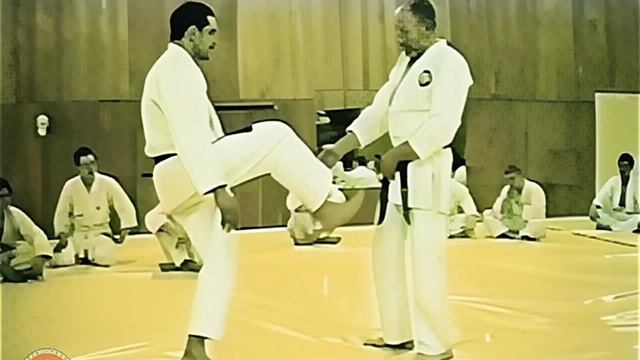 Бросок боковым входом в Ёсинкан Айкидо при атаках ногами