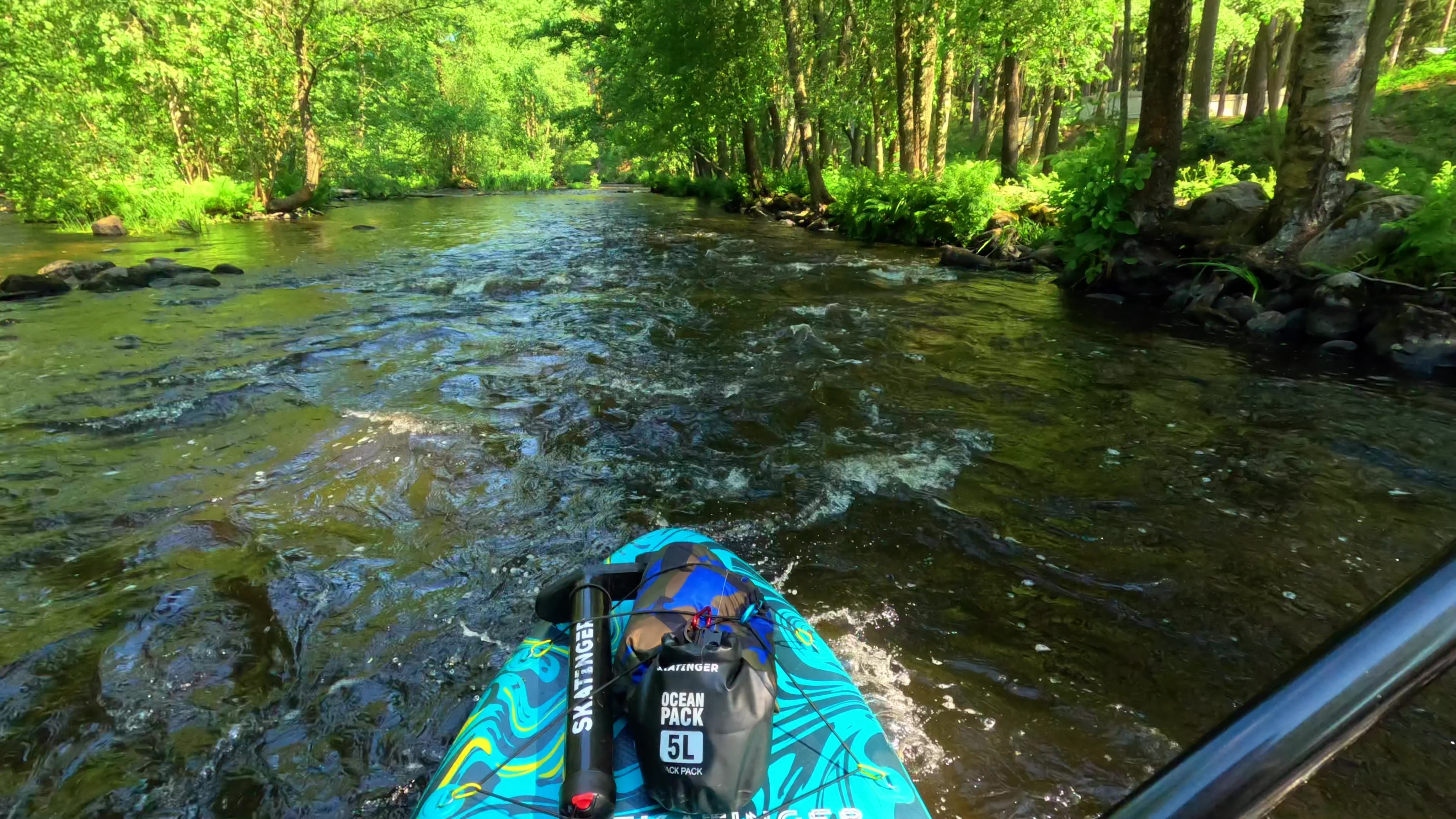 Волчья, сплав на сапе, черника, земляника, лось и уж 2024