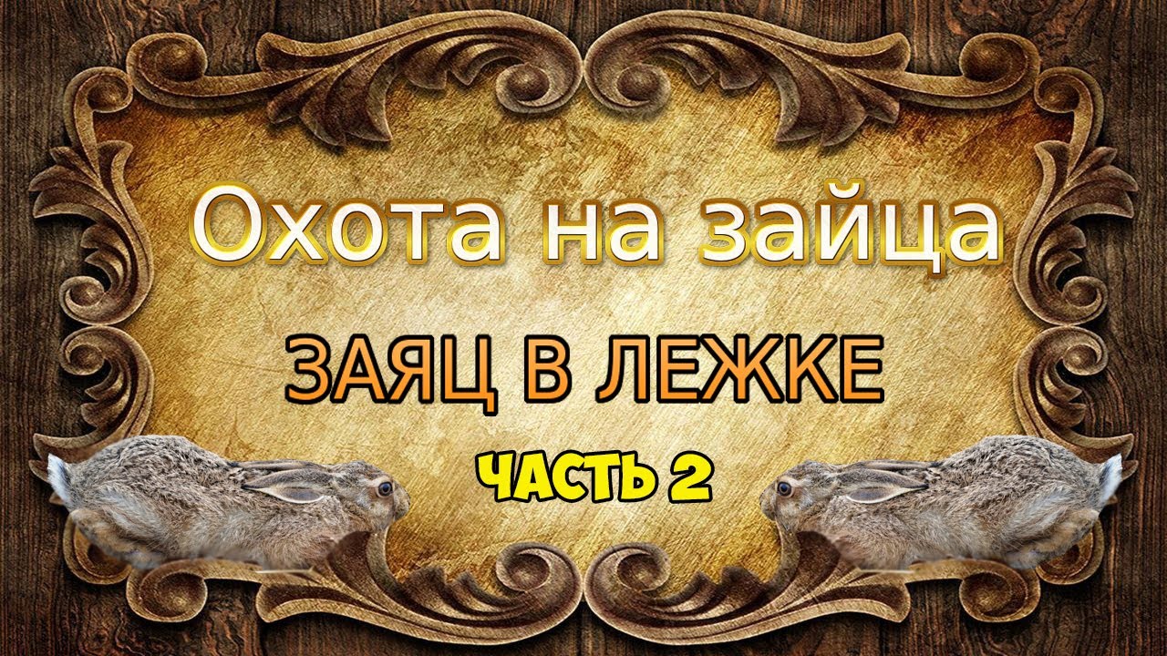 Охота на зайца-русака. Упрашиваем чтобы проснулись и убегали.