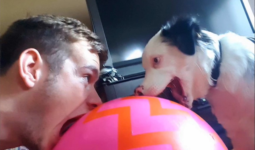 Кушать хочется