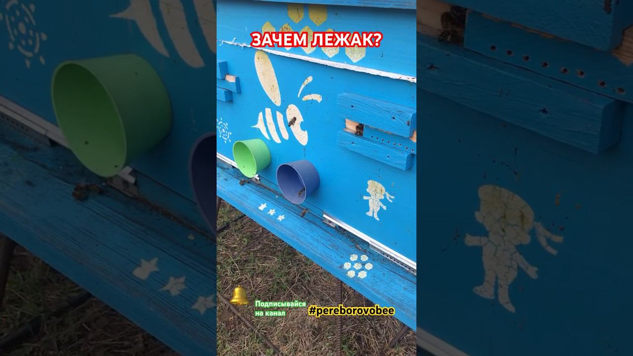 Зачем лежак? ПЧЕЛОВОДСТВО! #pereborovobee #пасека #пчеловодство #матковод #воск #воск #мёд #лежак