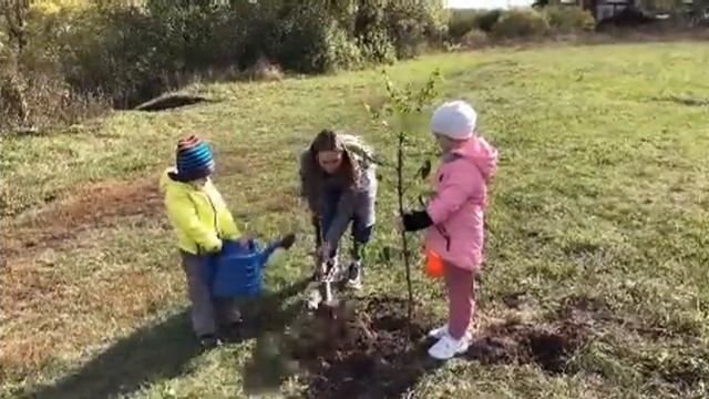 Акция: Одна семья - одно дерево