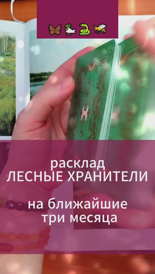ближайшие три месяца #оракул #лесныехранители
