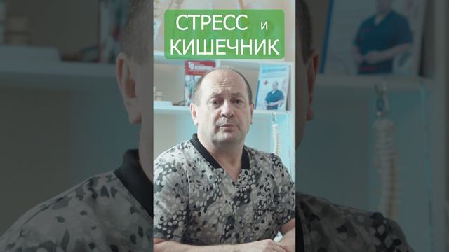 Почему стресс влияет на кишечник? Как психика и гормональная активность во время стресса влияет...
