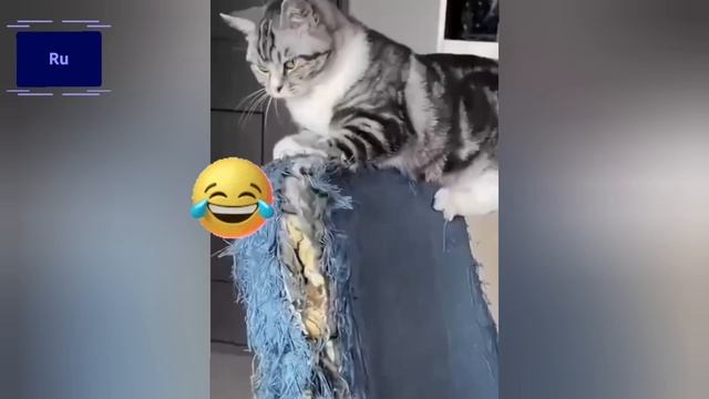 YouCut_20230626_140704696.mp4