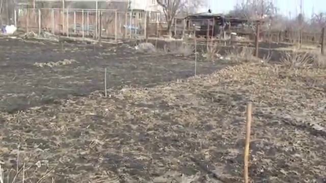 Сидераты. Запахивать (скашивать) осенью или не запахивать (не скашивать)