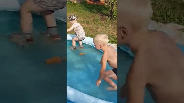 Что не так_ Купаются в бассейне.