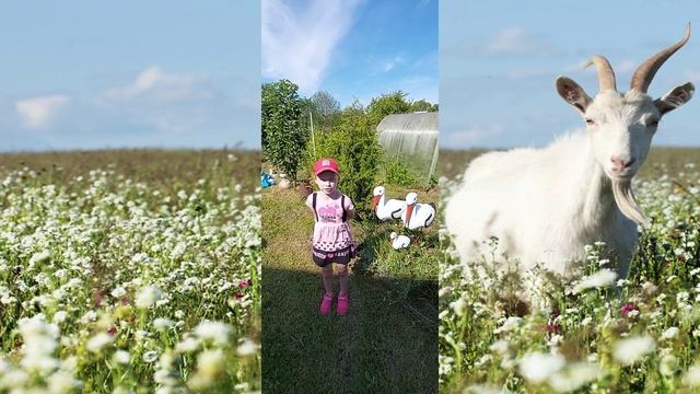 Рондина Таисия, 7 лет, Н.М. Рубцов "Коза"