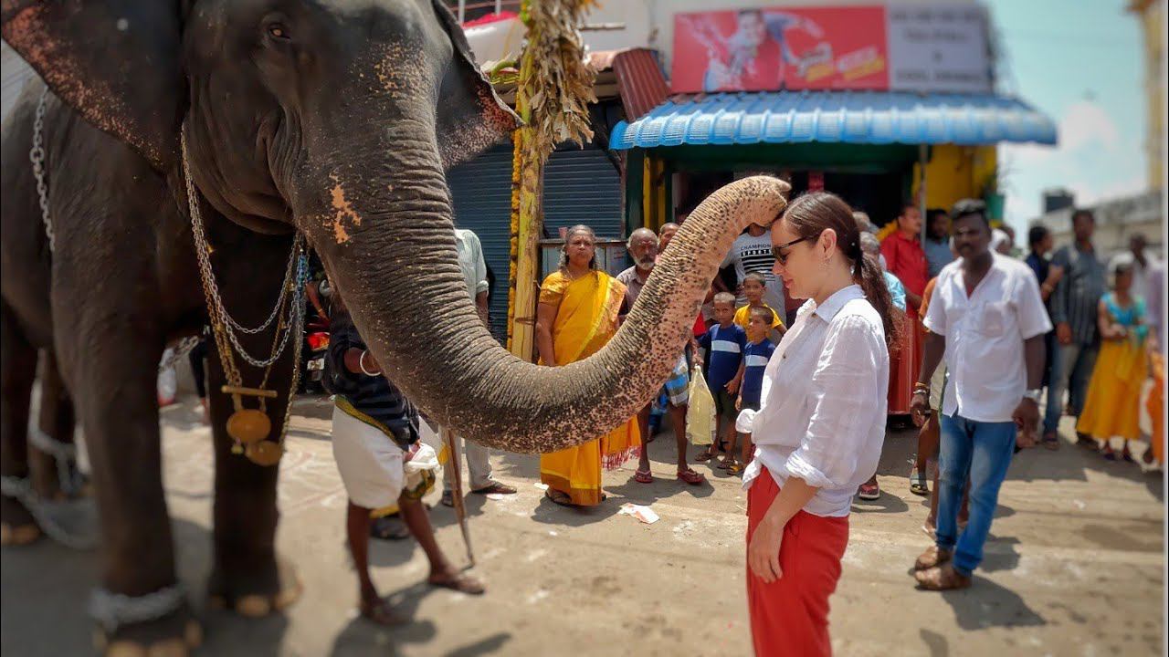 Индия Закидали цветами на празднике со слоном. В храм пускают только топлес. Каньякумари