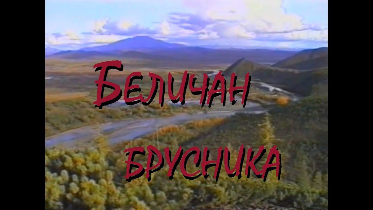 За брусникой, #Беличан, ручей #Грипп (#Гриб) // БЫЛОЕ