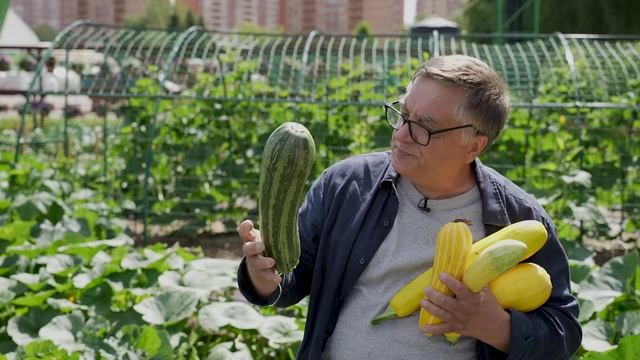 Каких только кабачков не бывает!