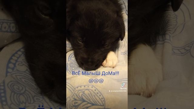 Моя Мечта сбылась, наконец-тО@@@