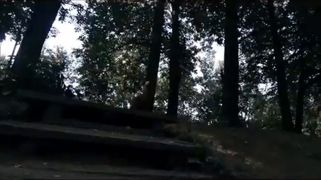 Видеоподкаст на тему «Красные утки - огари»