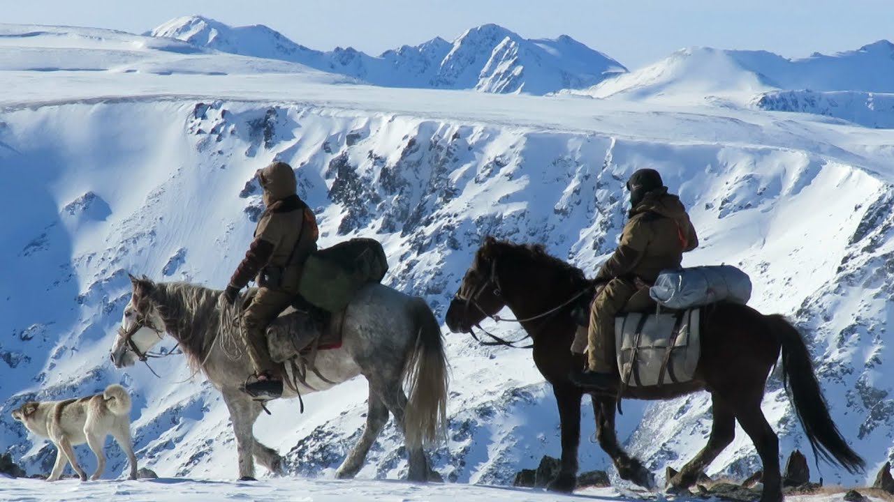 Зона покоя Укок. Снежный Барс. В горах Южного Алтая. Конная экспедиция в горы Сибири. Горный Алтай.