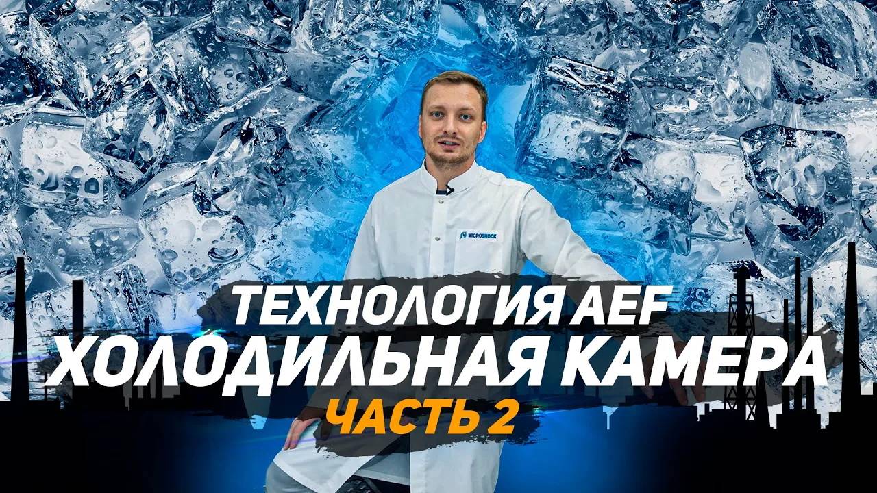 Холодильная камера акустической заморозки. Технология AEF. Производство ягод шоковая заморозка. Ч2
