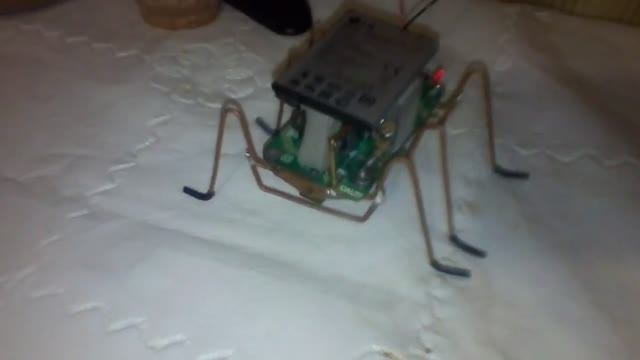 робот, жук усатый